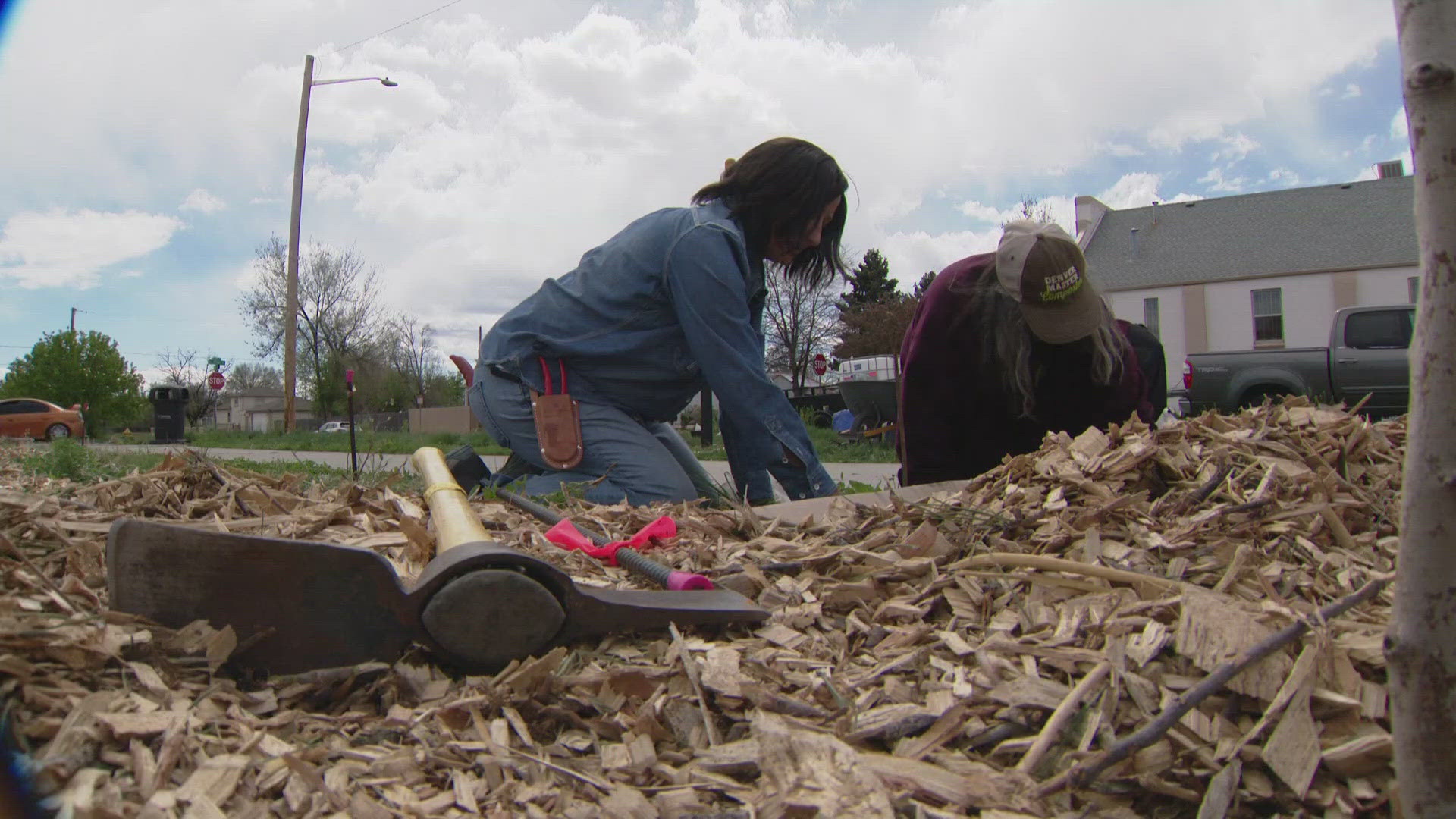 Volunteers improve Denver food forests in underserved neighborhoods | 9news.com