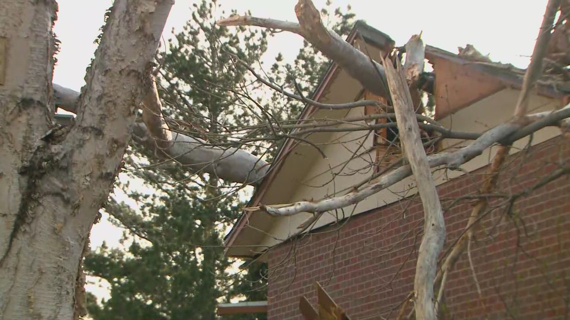 Extended headlines | High winds knock out power, damage homes in metro Denver | 9news.com