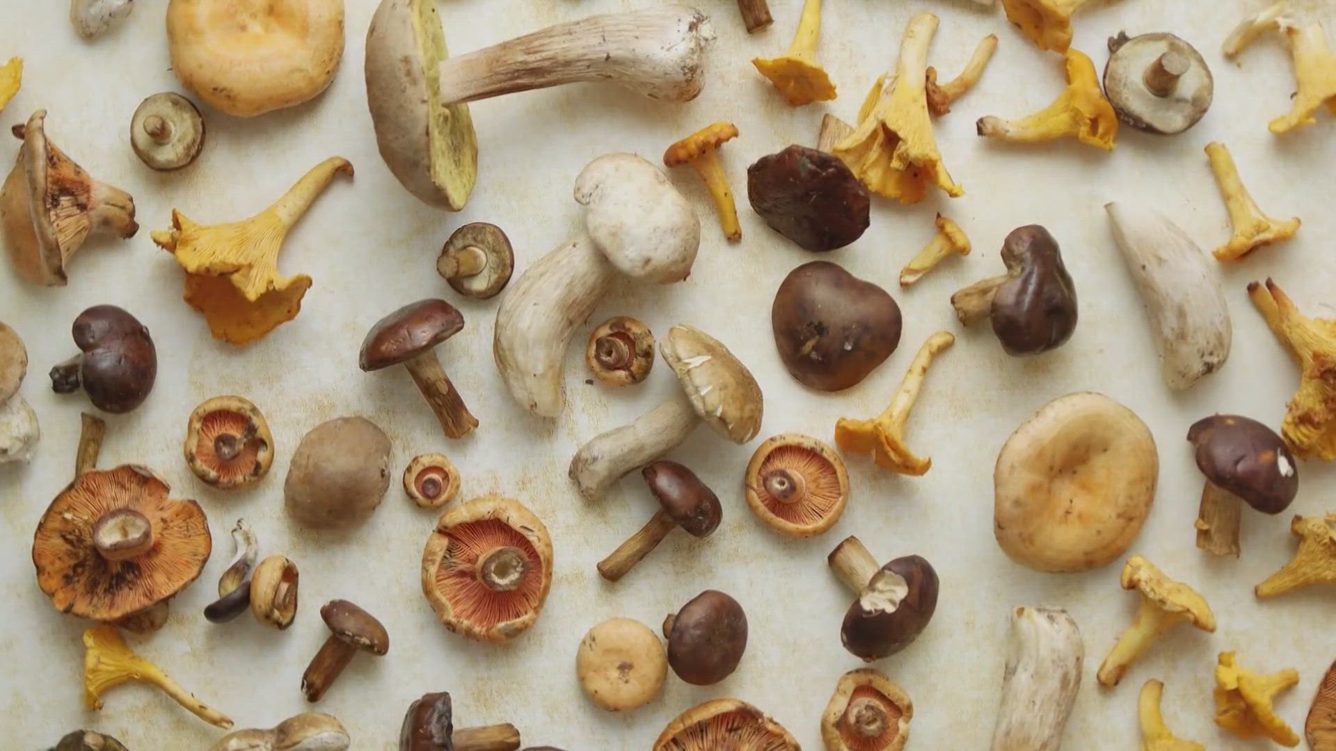 Oklahoma City bombing witness Michael Fortier released from prison ...