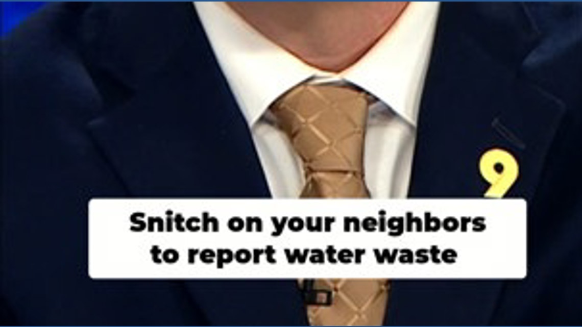 Report your neighbors over illegal watering in Denver | 9news.com
