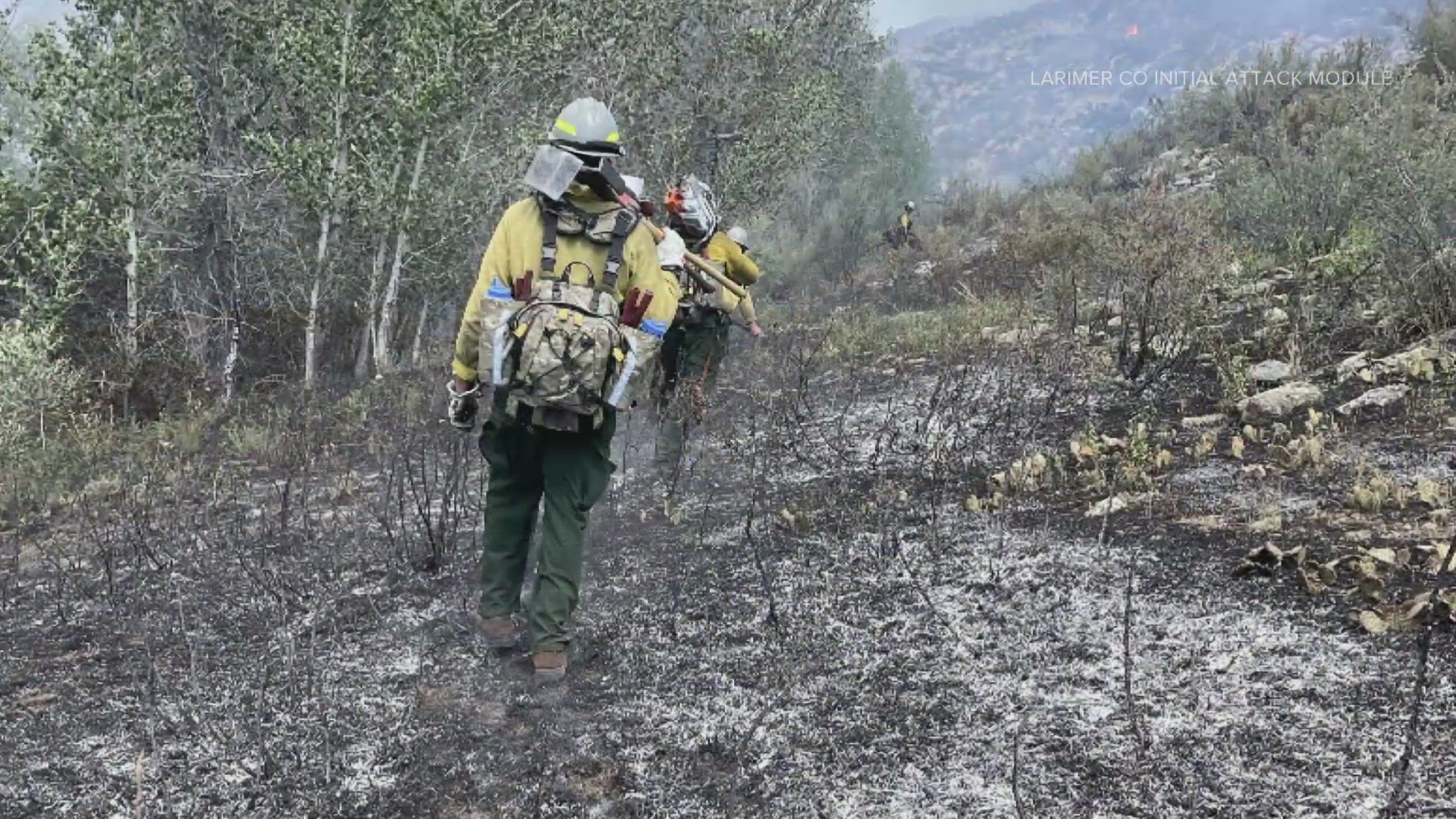 Wildfire smoke could affect firefighter fertility, CSU study finds ...