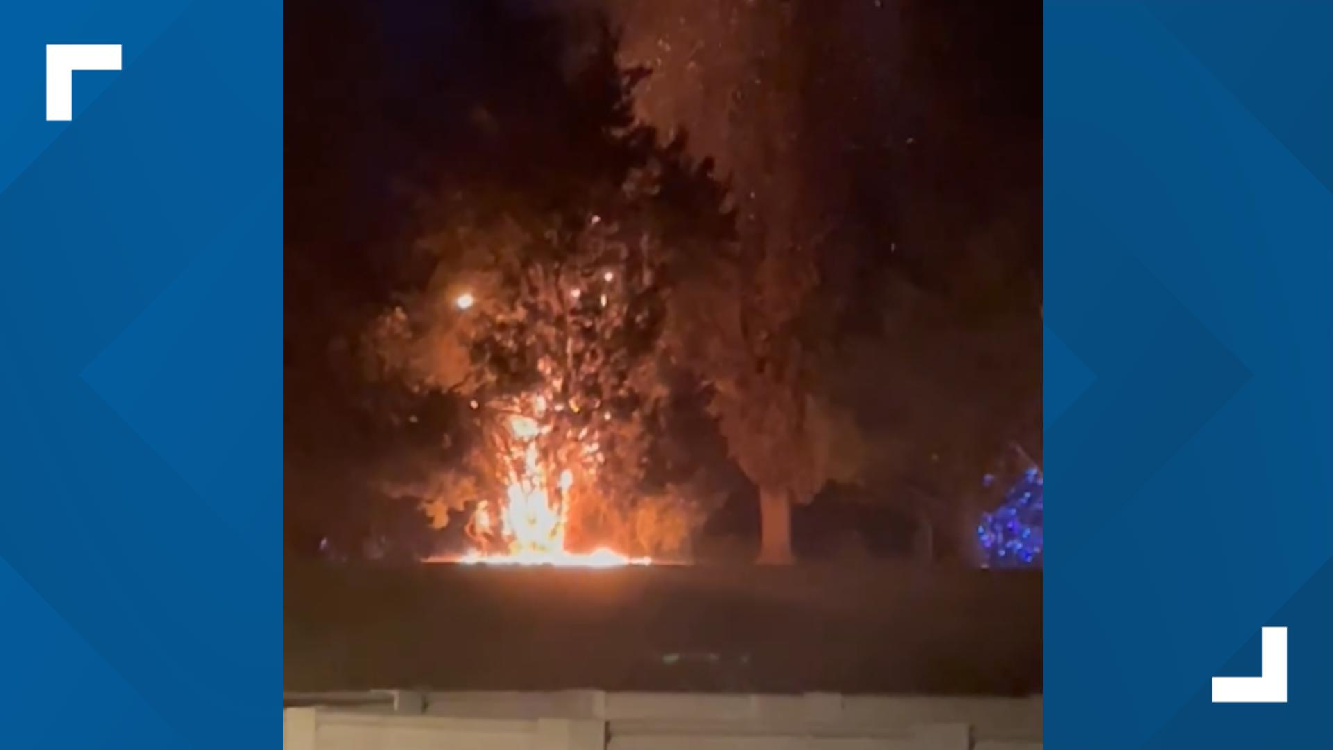 Denver Fire extinguishes two tree fires in Cheesman Park | 9news.com
