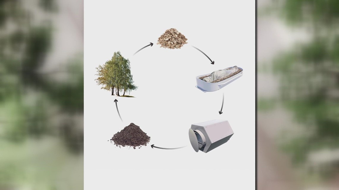 Green burials: What to know about human composting | 9news.com