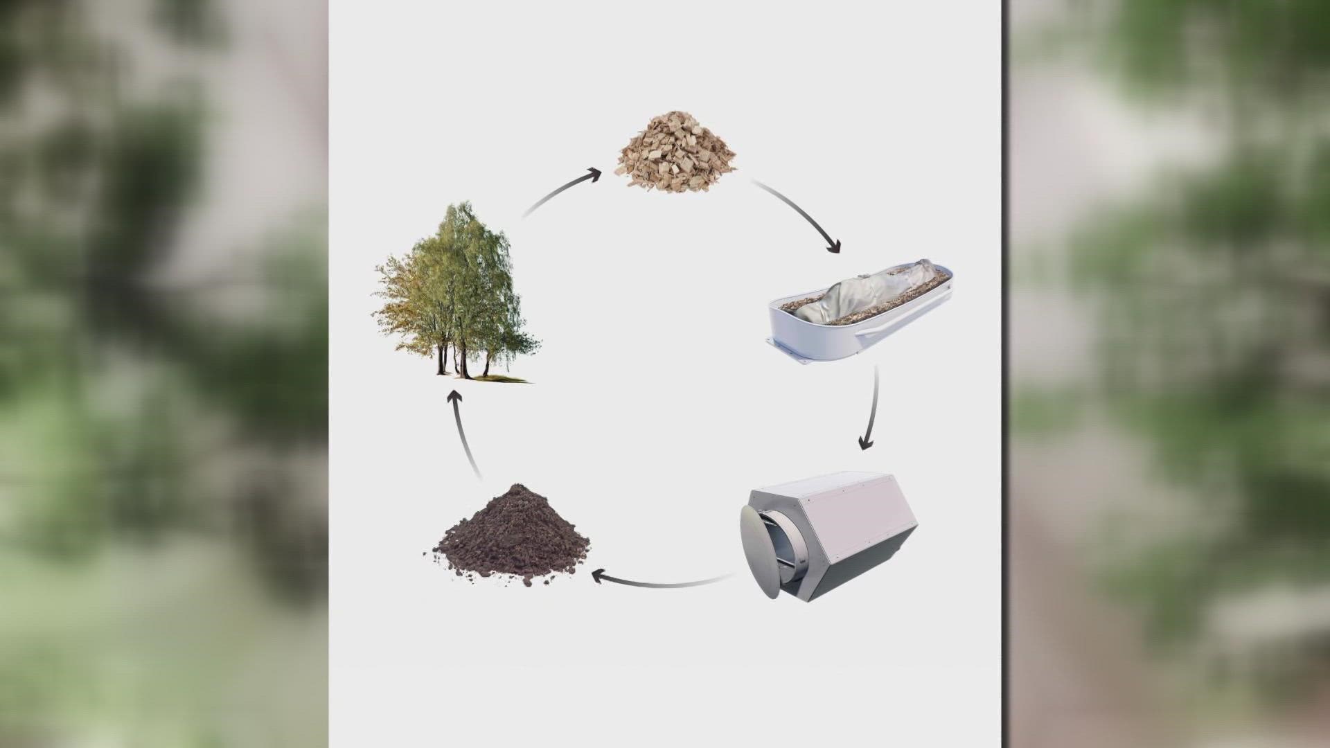 Green burials: What to know about human composting | 9news.com