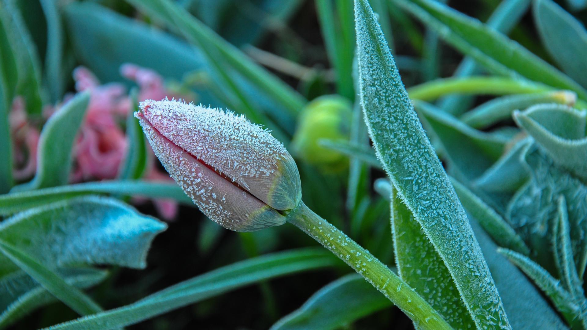 Denver Traffic | 9news.com | 9news.com