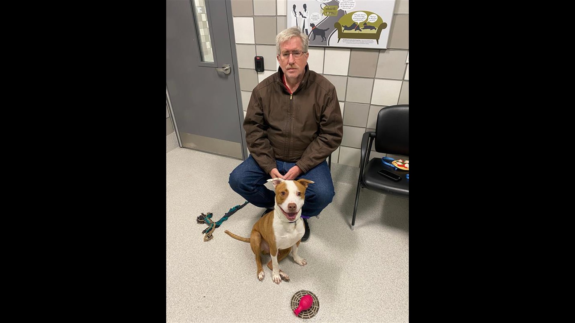 40% off adoption special on dogs at Dumb Friends League | 9news.com