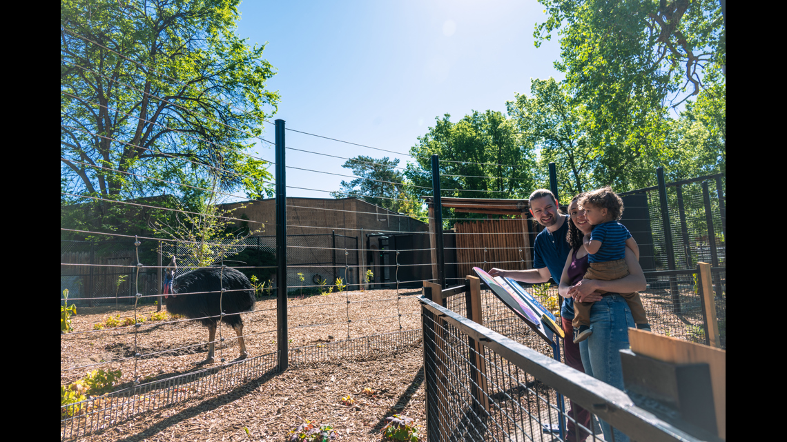 Denver Zoo opens new 'Down Under' animal habitat | 9news.com