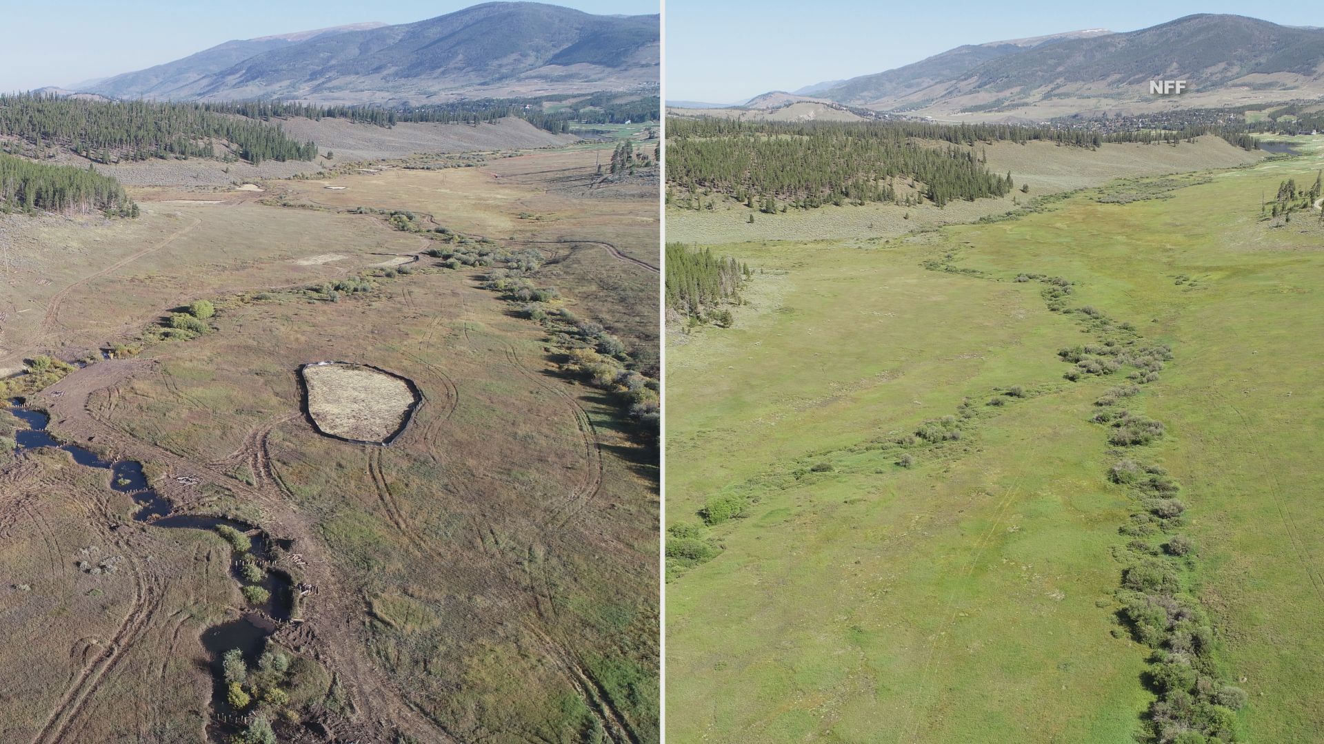 Wetland restoration project to improve quality of drinking water ...