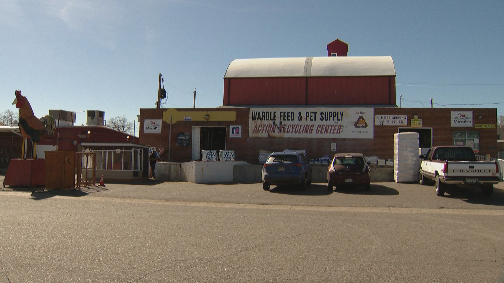 Chick sales soar at feed stores amid high egg prices | 9news.com