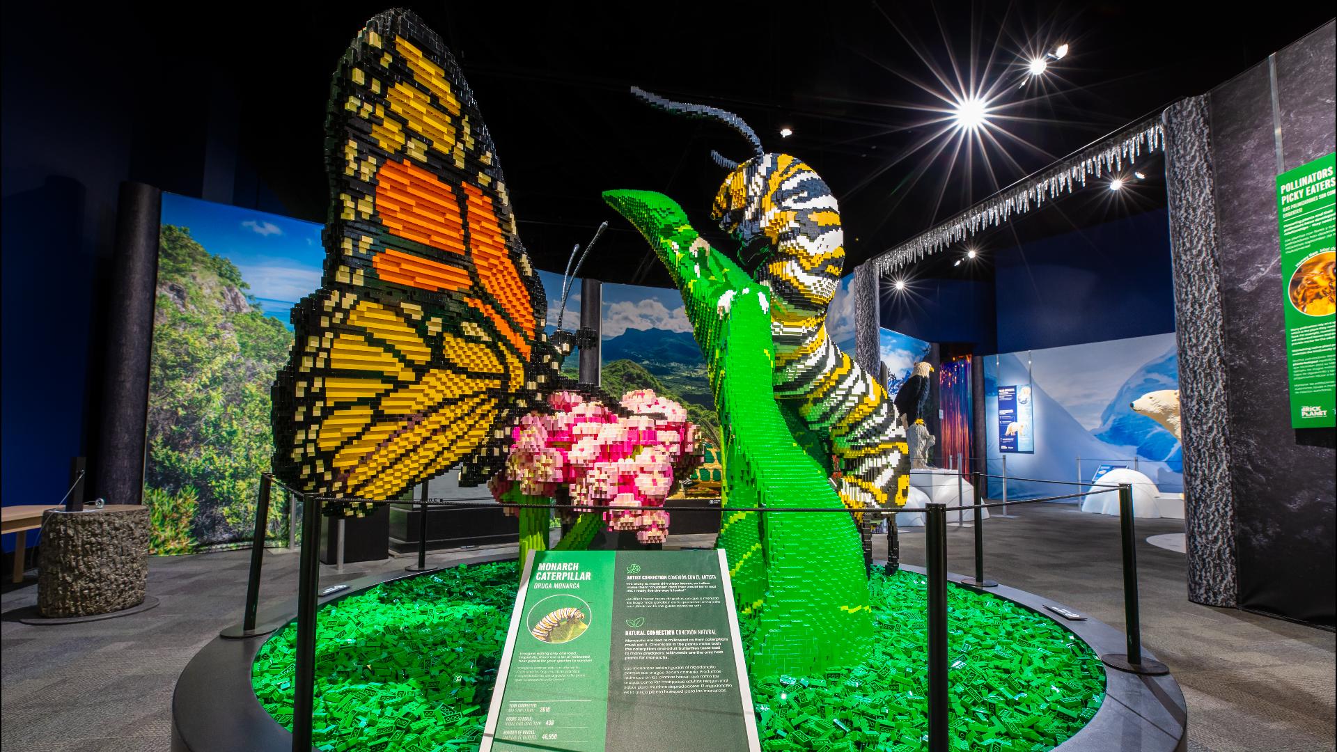 1.5 million Lego bricks featured in new Denver exhibition | 9news.com
