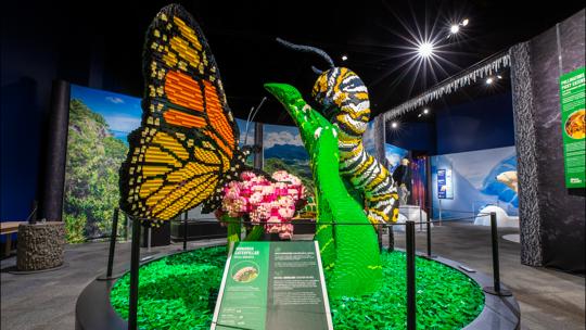 1.5 million Lego bricks featured in new Denver exhibition | 9news.com