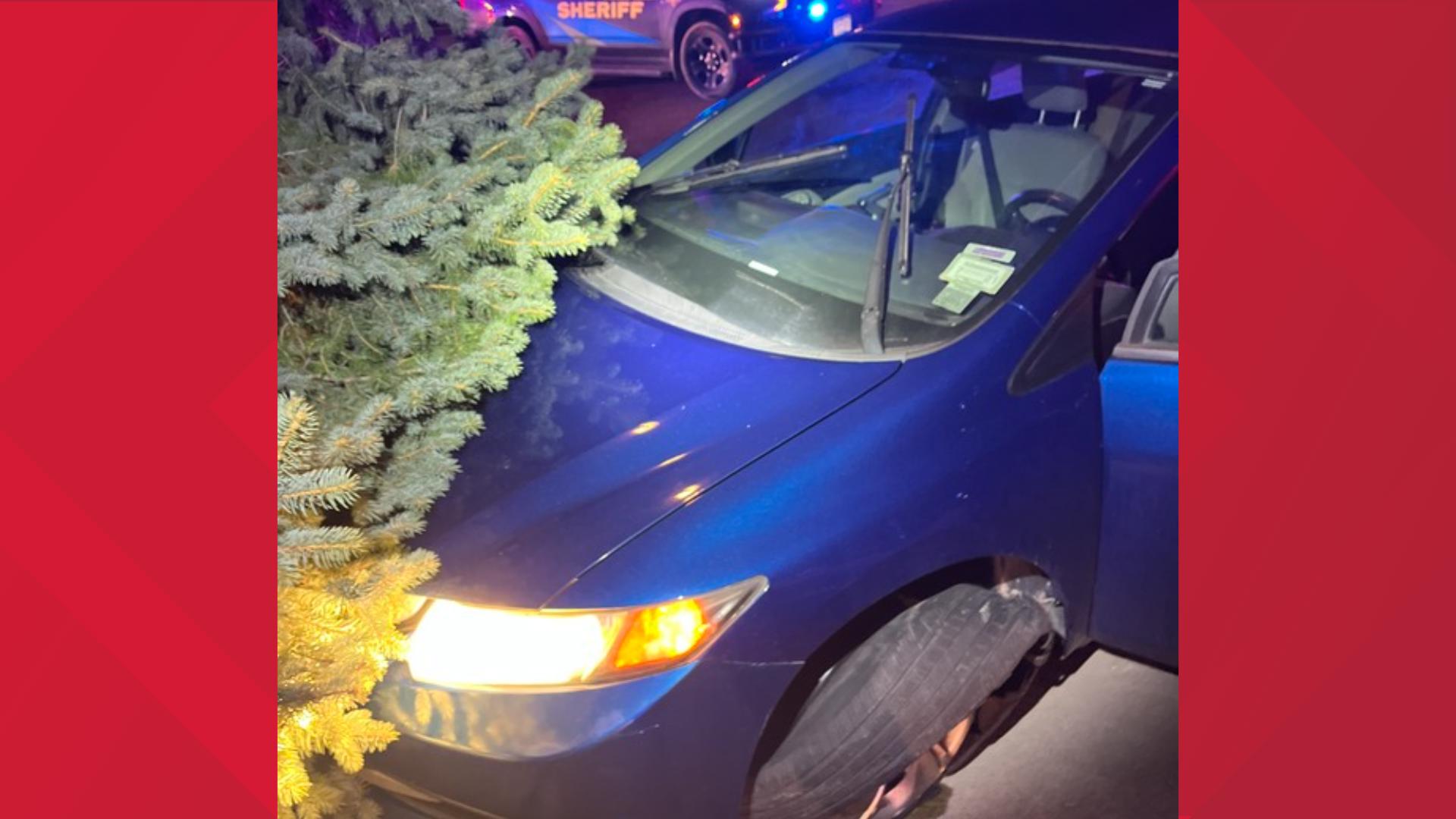 Colorado drug trafficking operation detailed after investigation ...