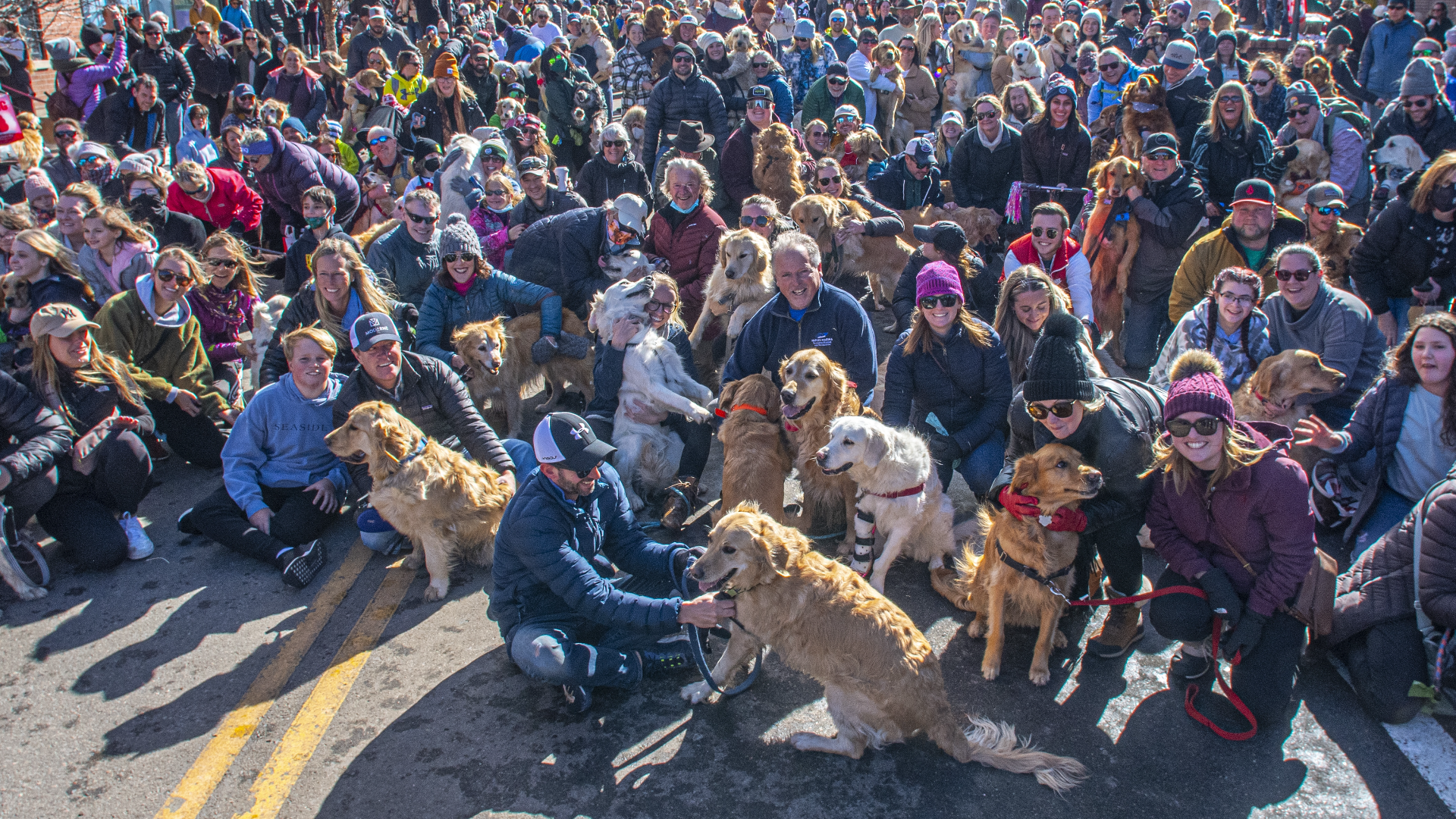 Golden's Goldens in Golden event returns with expanded activities, dog ...