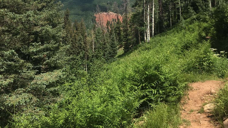 Colorado's only geyser: How to get there and a look at the trail ...