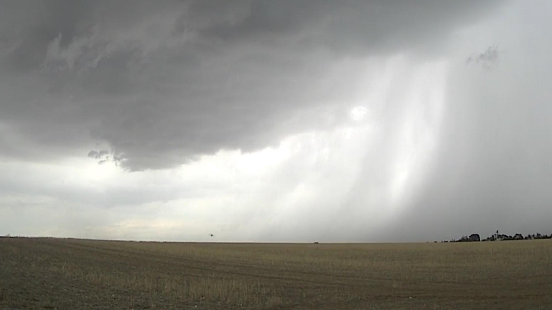 Angeline McCall: Meet the 9NEWS team | 9news.com