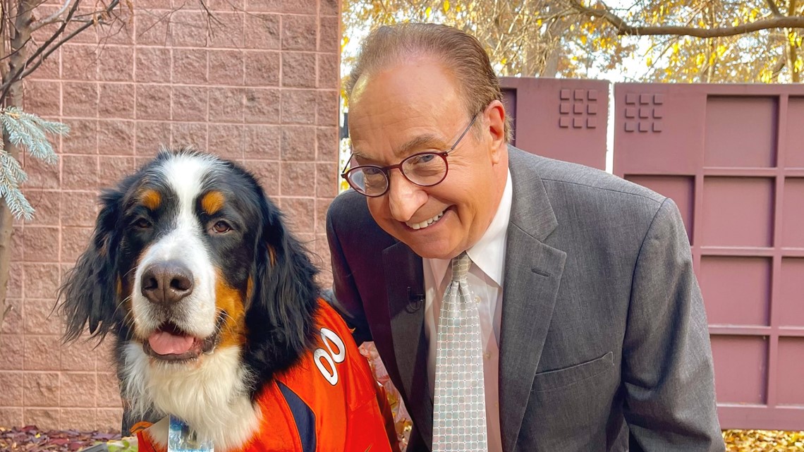Parker the Snow Dog, a beloved Colorado mascot, passes away in car ...