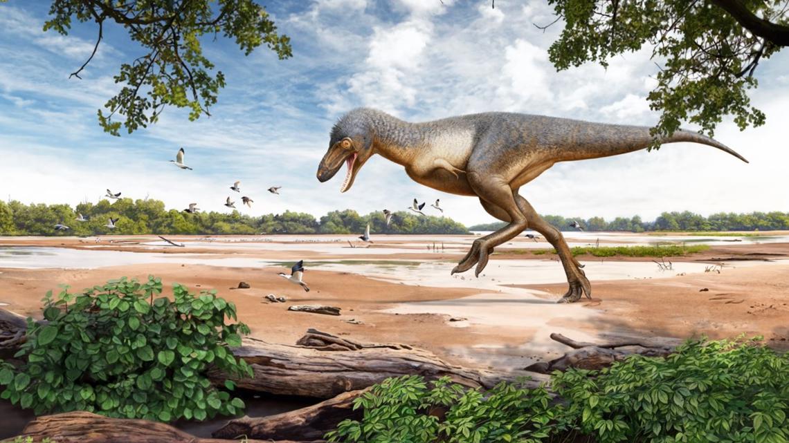 Rare T. rex fossil going on display in Colorado | 9news.com