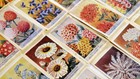 How to pick the best seeds for your garden this spring | 9news.com