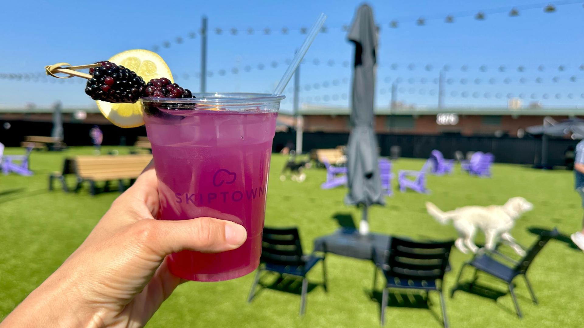 Skiptown: New off-leash dog bar, park opens in Denver | 9news.com