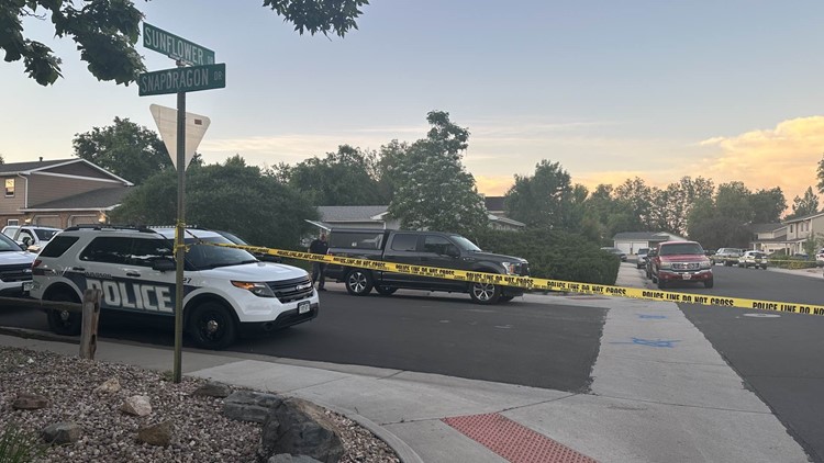 Man dead after shooting involving Windsor police officers | 9news.com