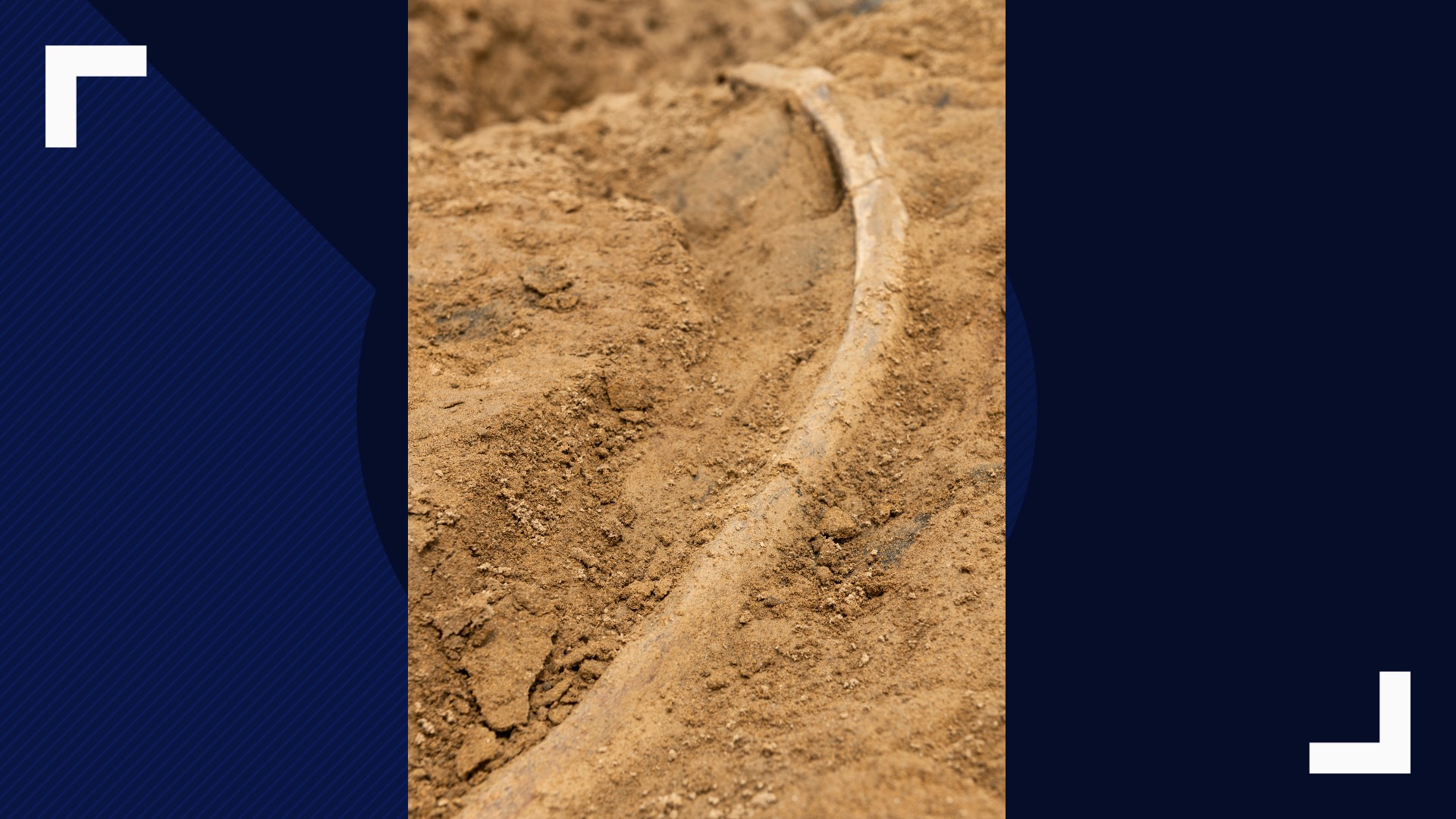 Dinosaur bones found in Colorado provide lesson for students | 9news.com