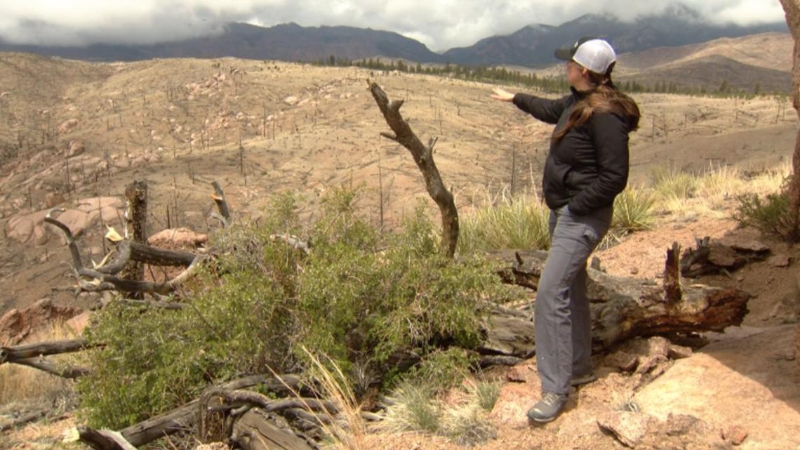 The Hayman Fire, 20 years later | 9news.com