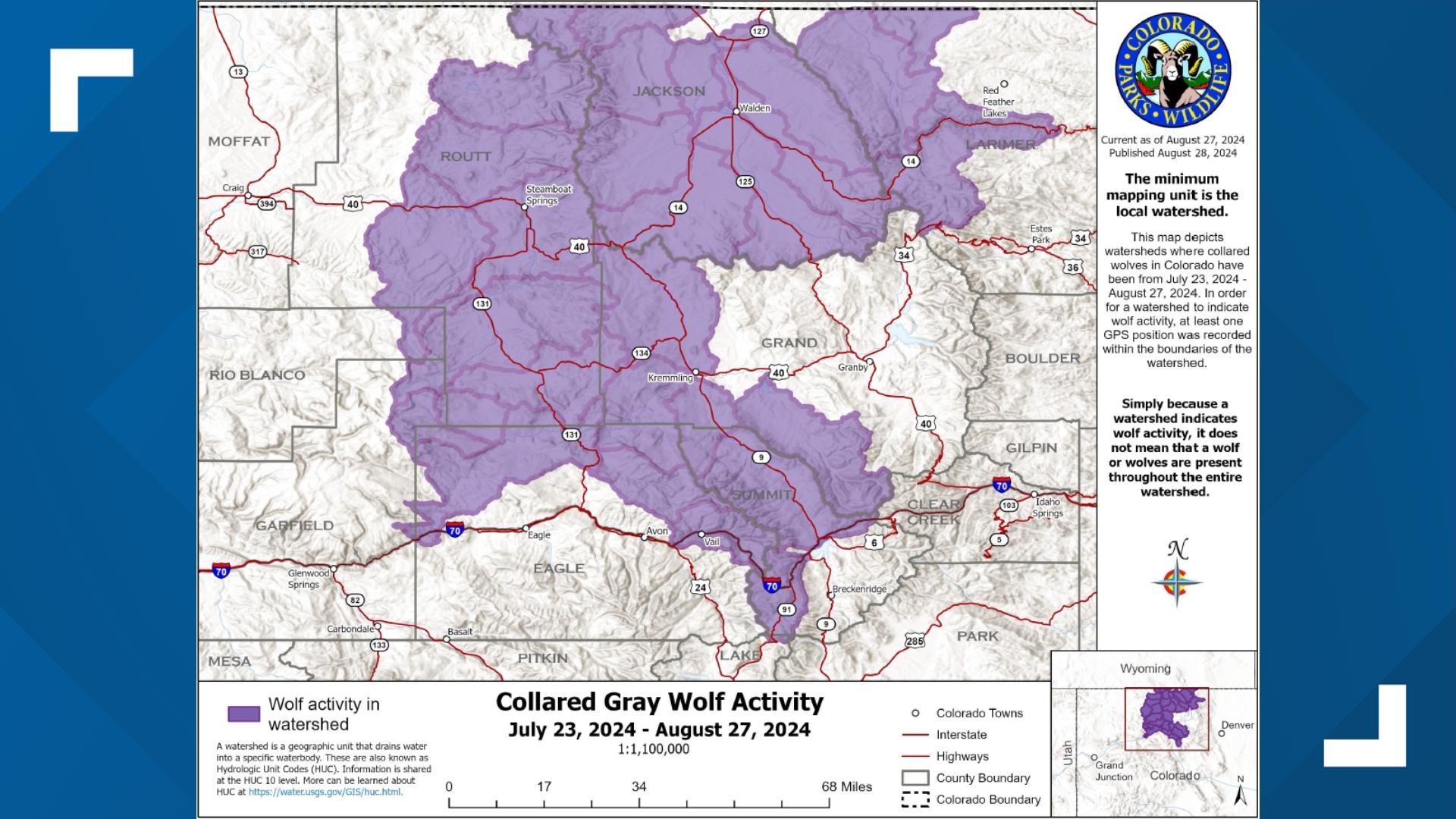 Colorado wolf activity: Reintroduced wolf crosses into RMNP | 9news.com