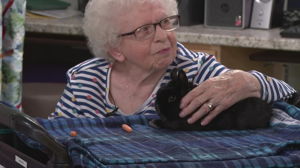 Buddy the Bunny brings the past back at a Fort Collins retirement ...
