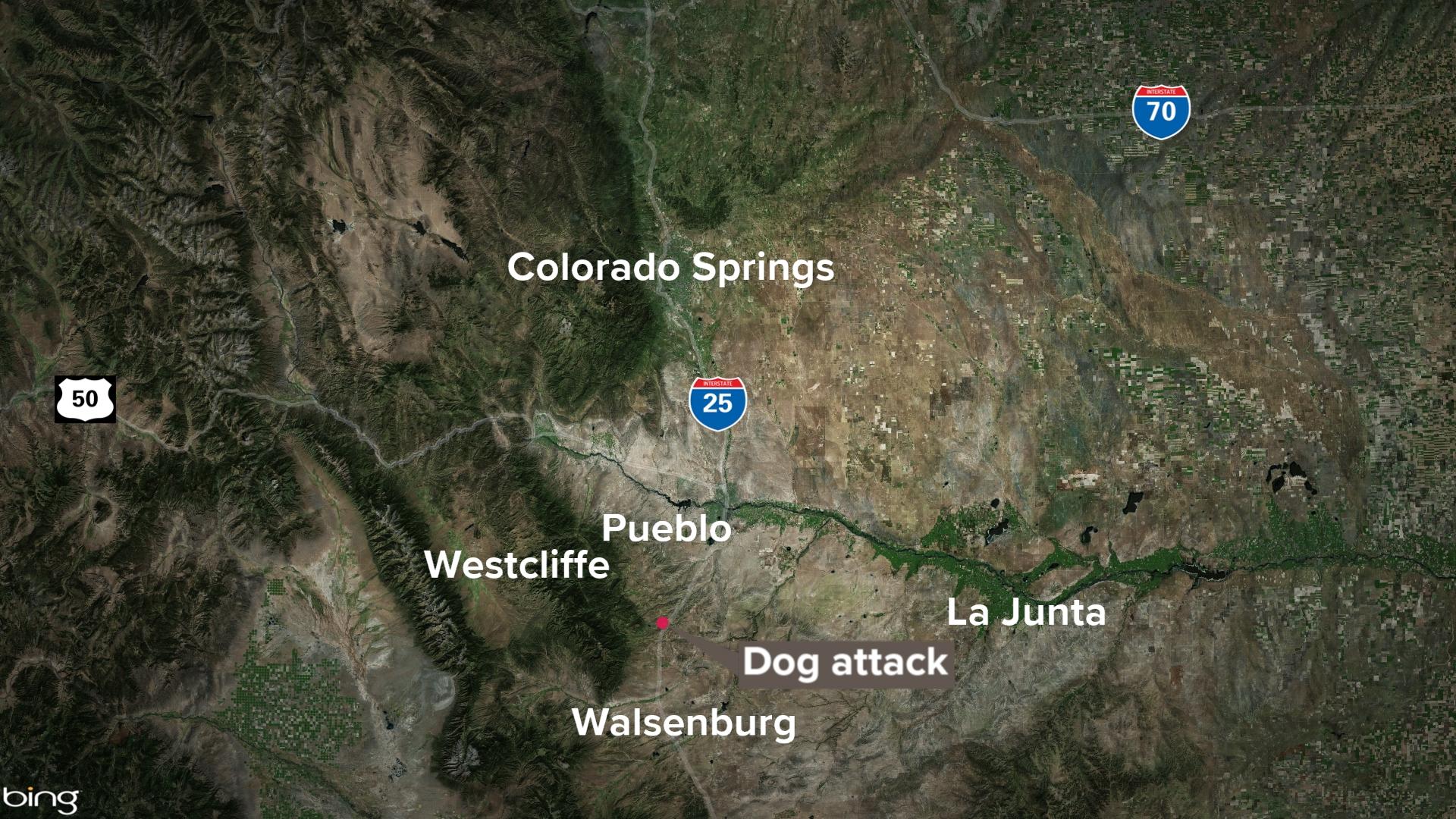 Southern Colorado woman killed in dog attack | 9news.com
