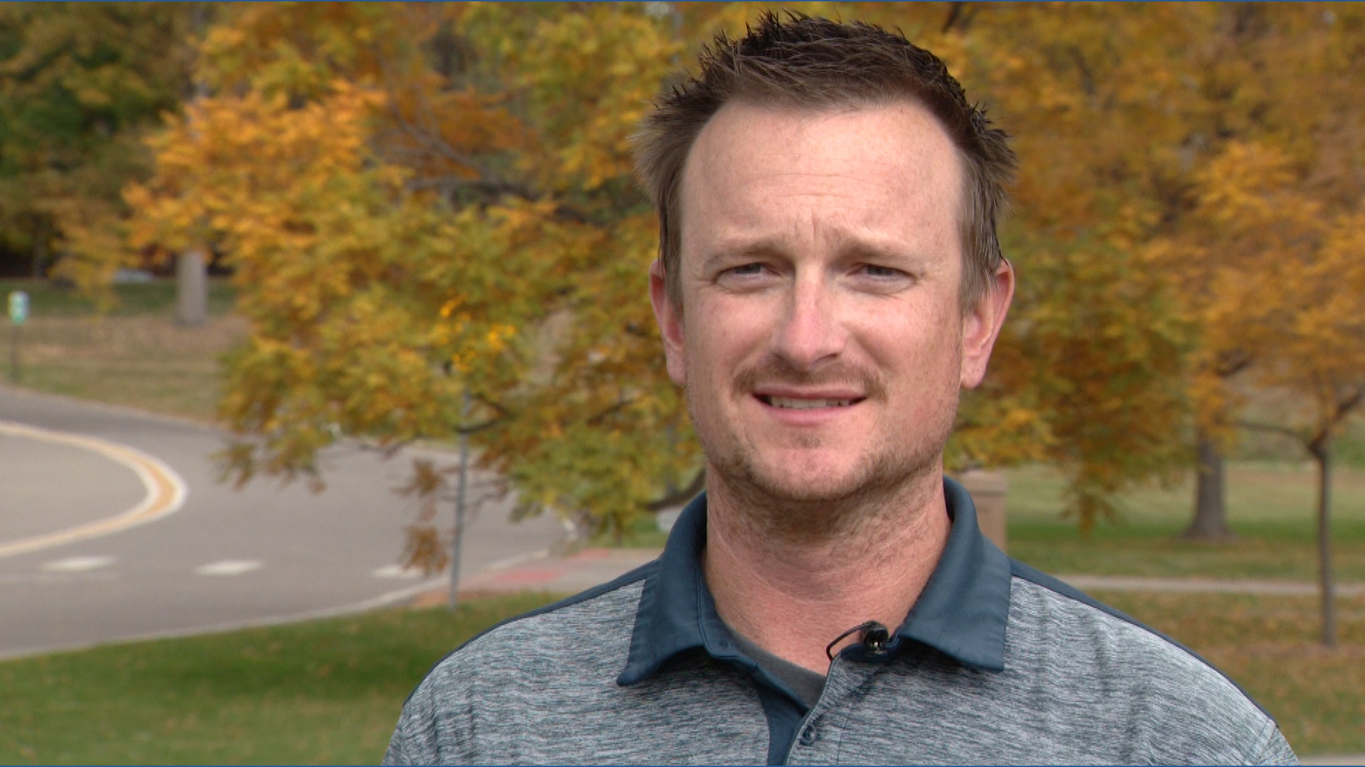 Hidden danger: Colorado's 'zombie trees' pose threat to homeowners this ...