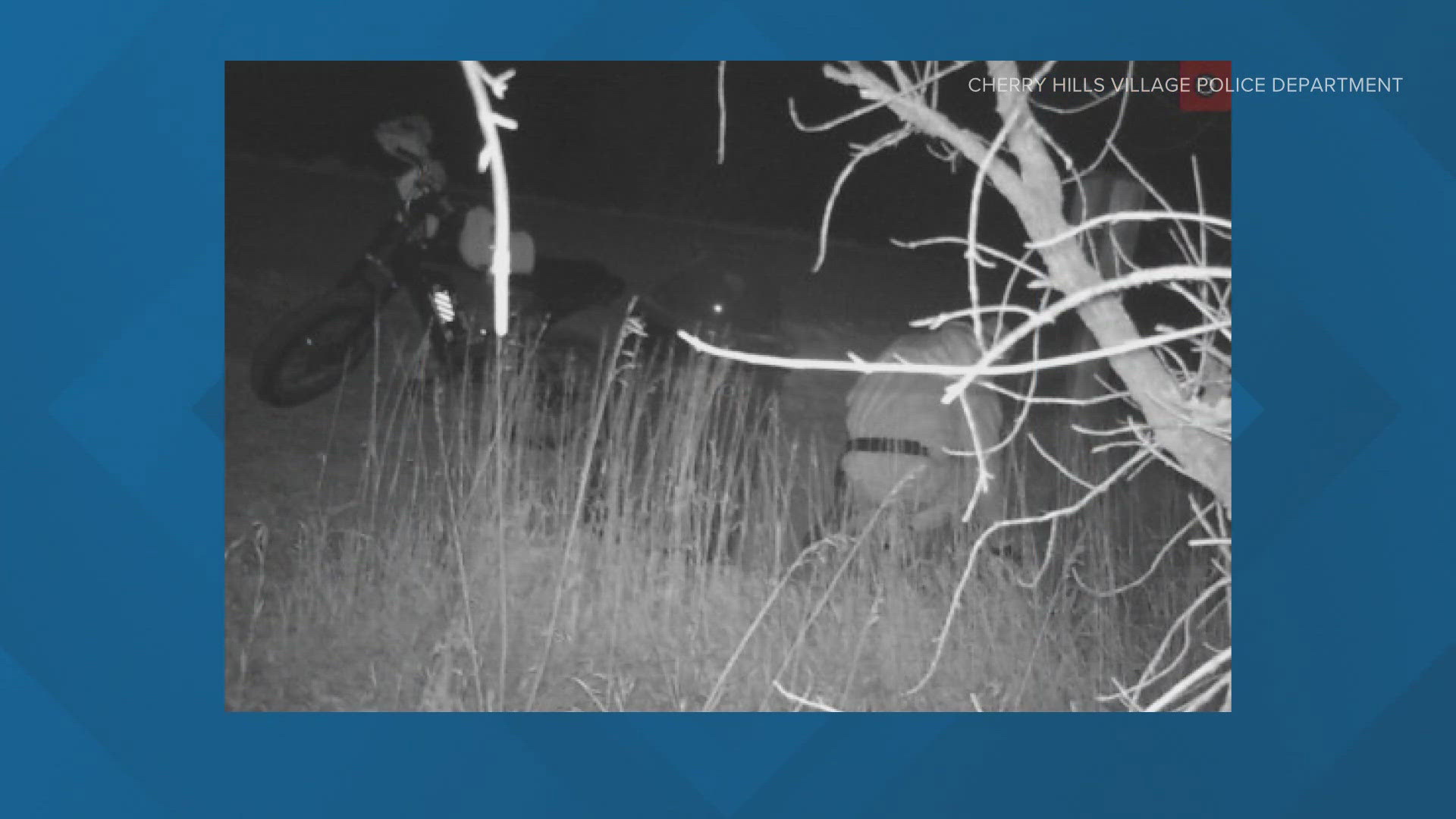 After quiet off-year elections, Democrats renew worries about Trump ...