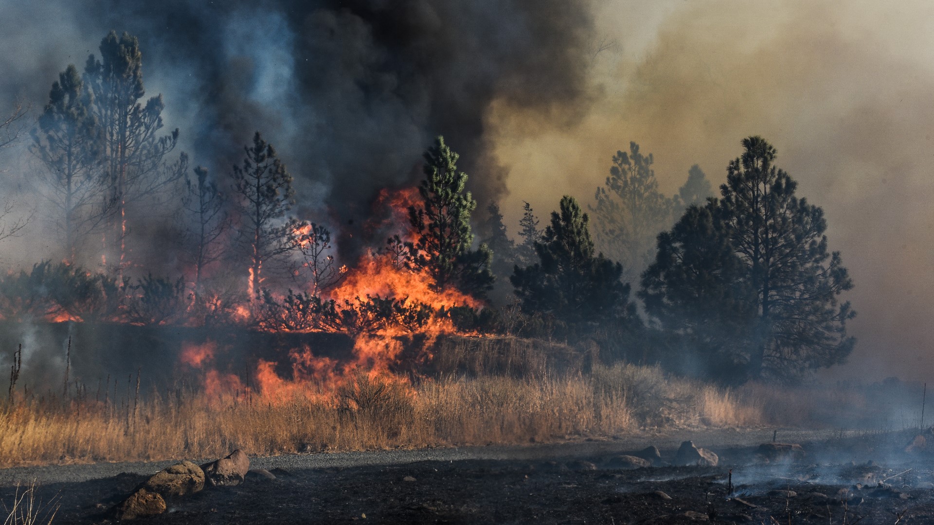 The story behind Colorado's most destructive wildfire | 9news.com