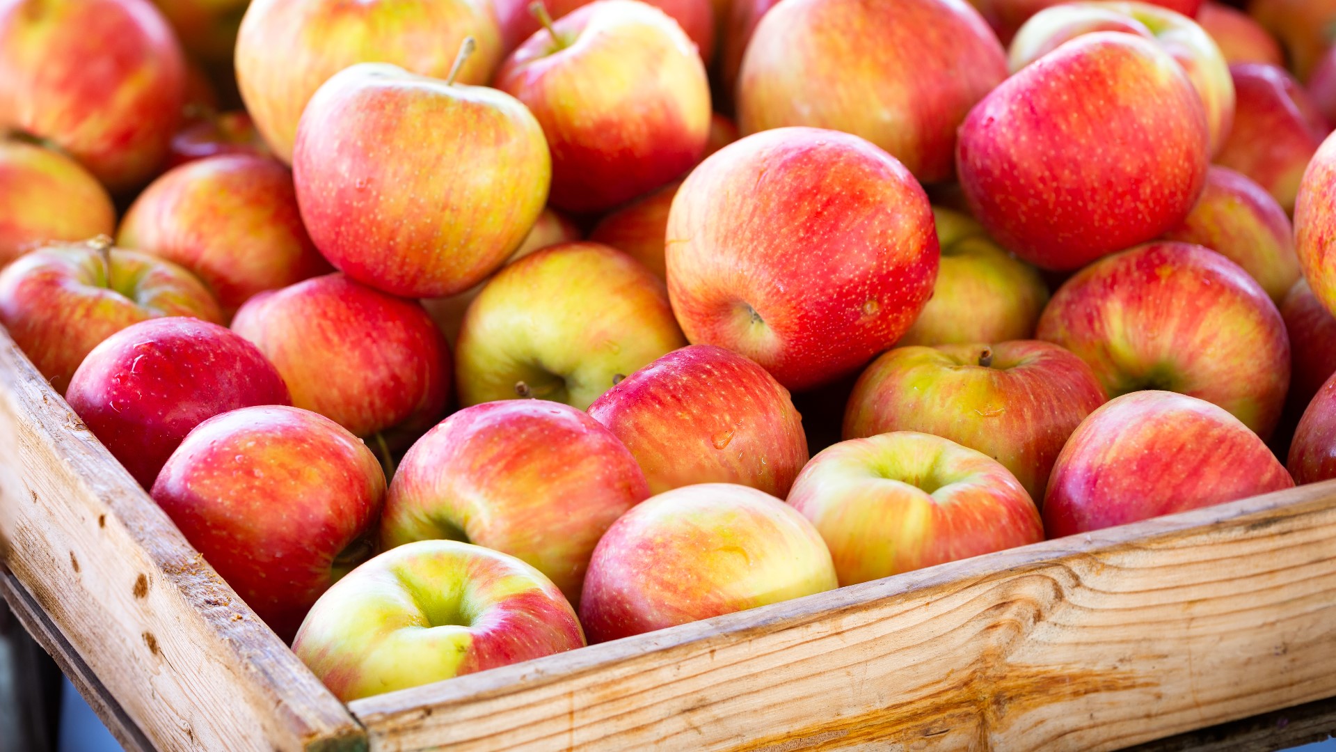 Denver Local News | Denver's source for Local News, Sports, Weather ...