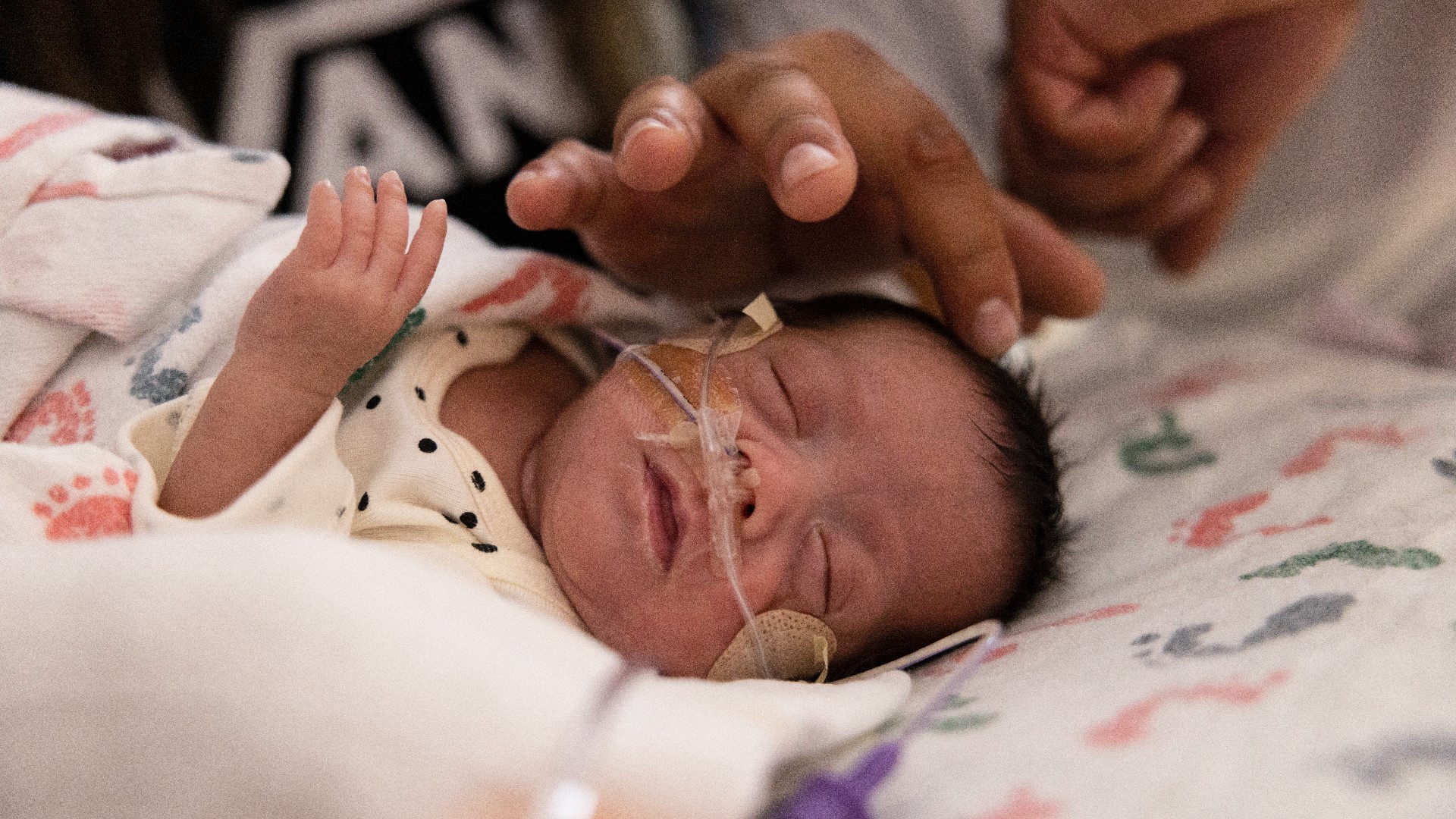 14 twins delivered in Colorado Springs set hospital record | 9news.com