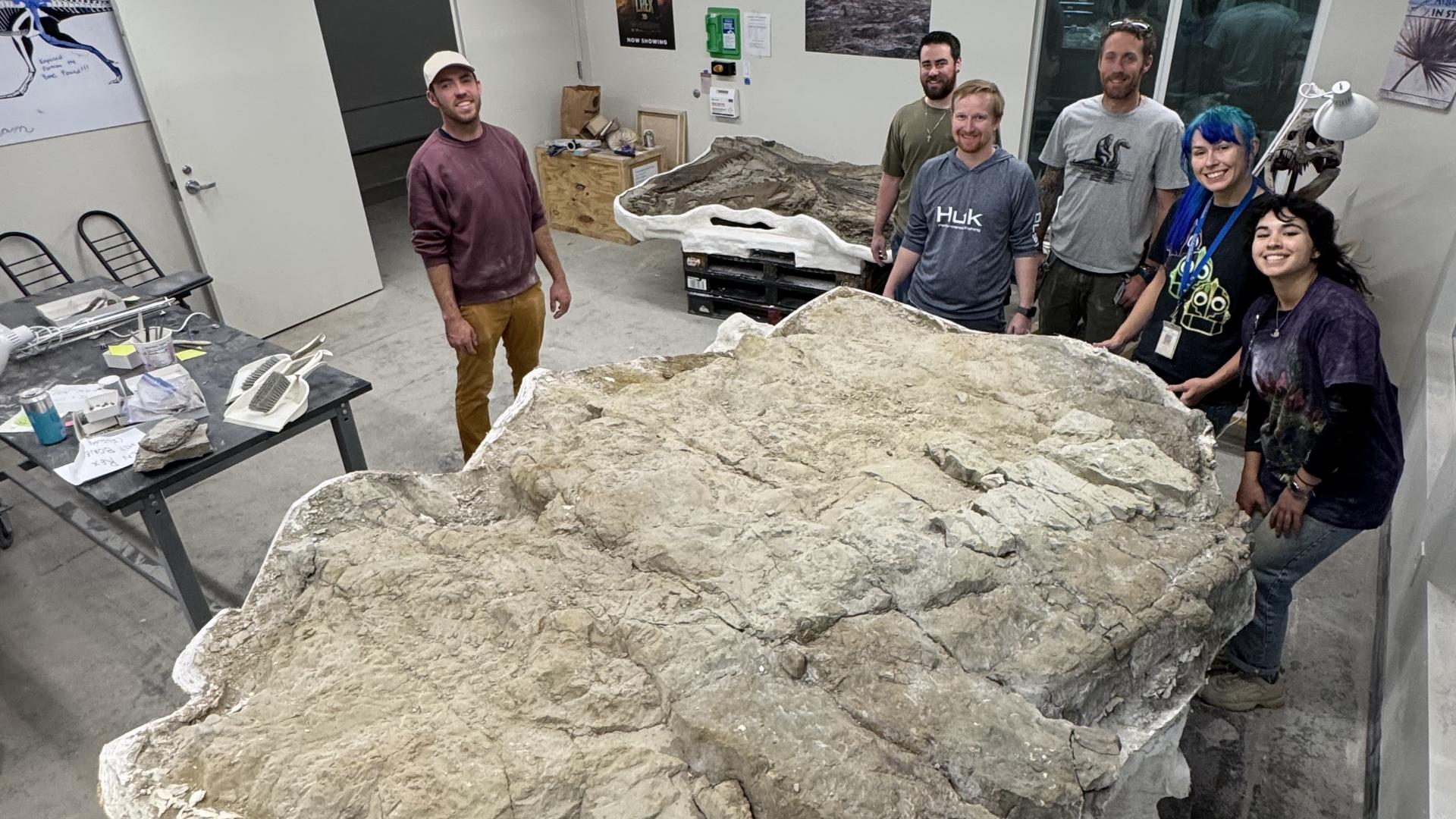 Denver museum exhibits one of the most complete Triceratops fossils ...
