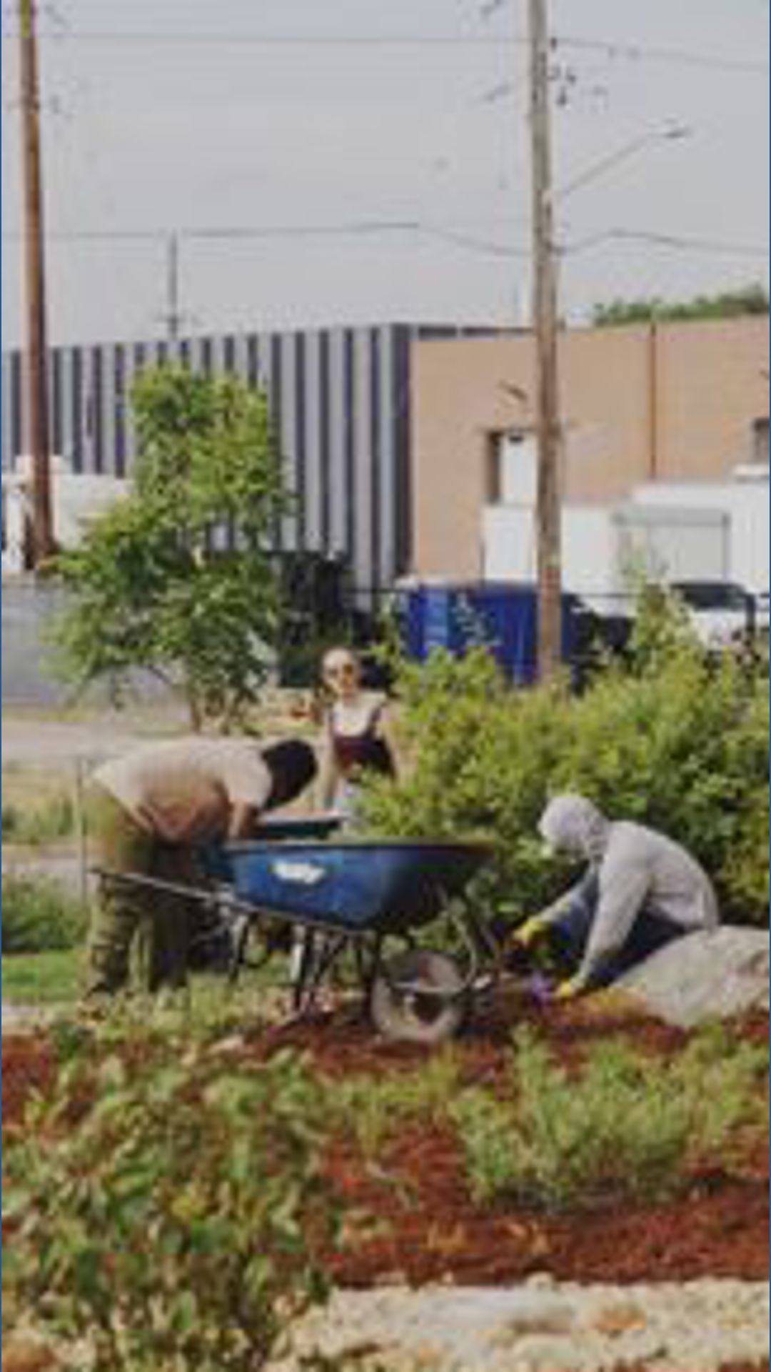 Students transform DSST: Elevate Northeast HS lawn into water-wise ...