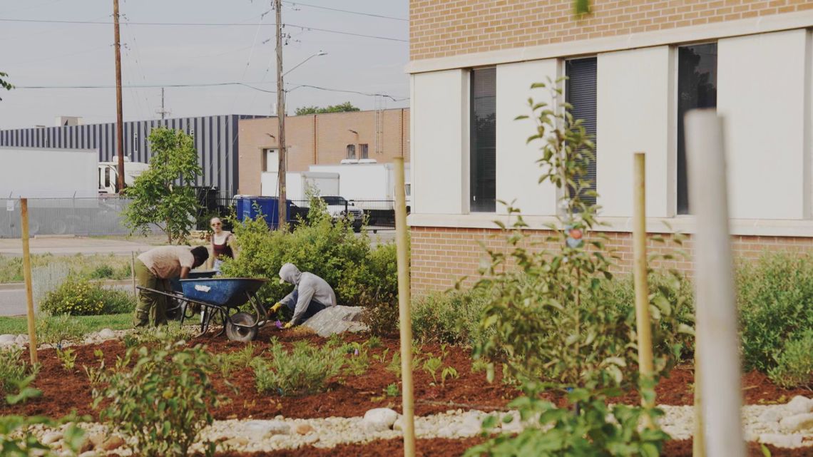 Students transform DSST: Elevate Northeast HS lawn into water-wise ...