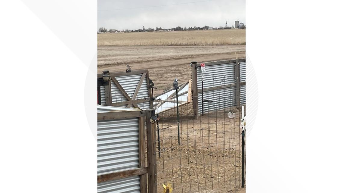 Wind destroys buildings at Pierce animal rescue | 9news.com