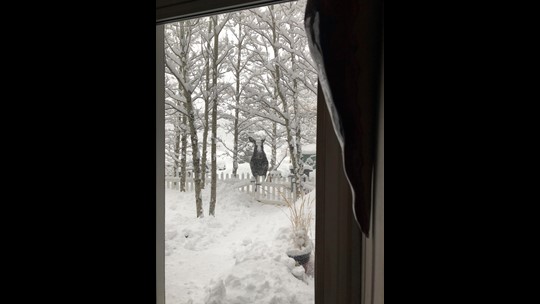 Bomb Cyclone: Colorado's 2019 weather event was the strongest ever ...