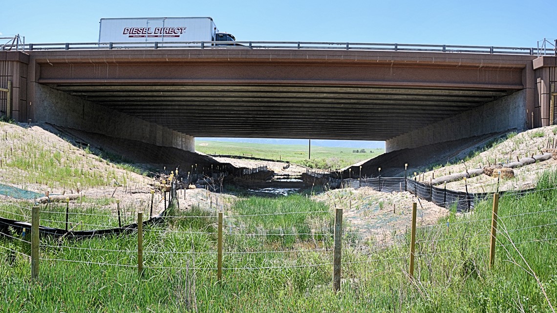 New wildlife crossing opens on I-70 in Colorado mountains | 9news.com
