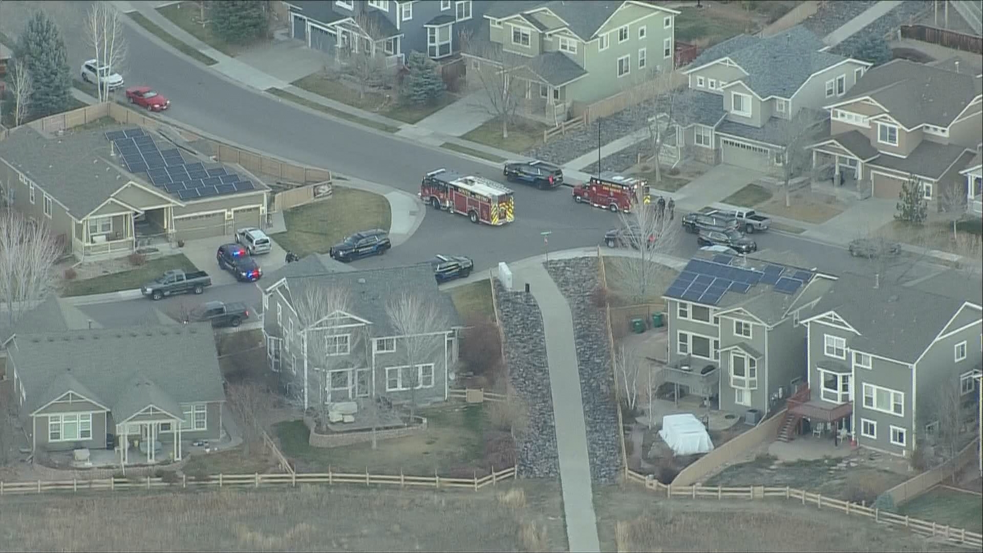 1 in custody after woman stabbed in Highlands Ranch | 9news.com