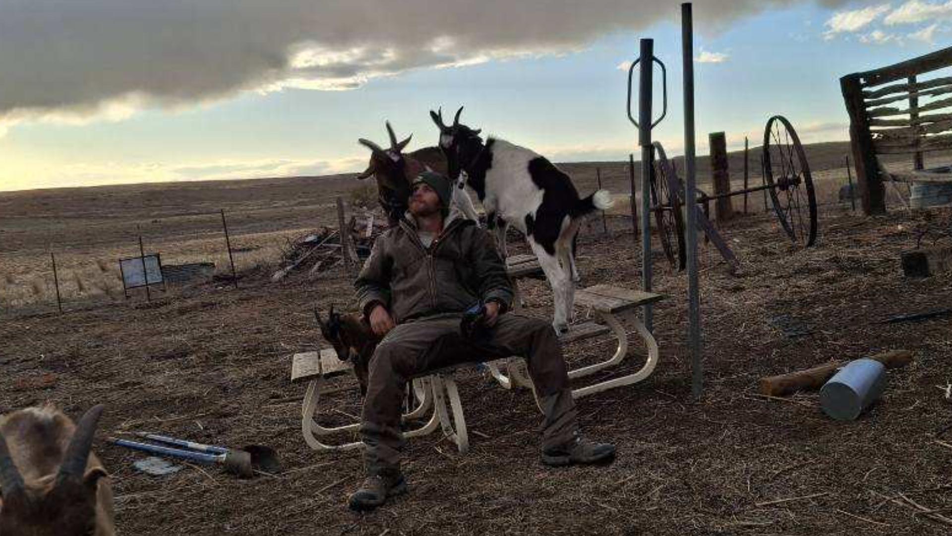 2 guide goats from Colorado hiking business attacked, killed | 9news.com