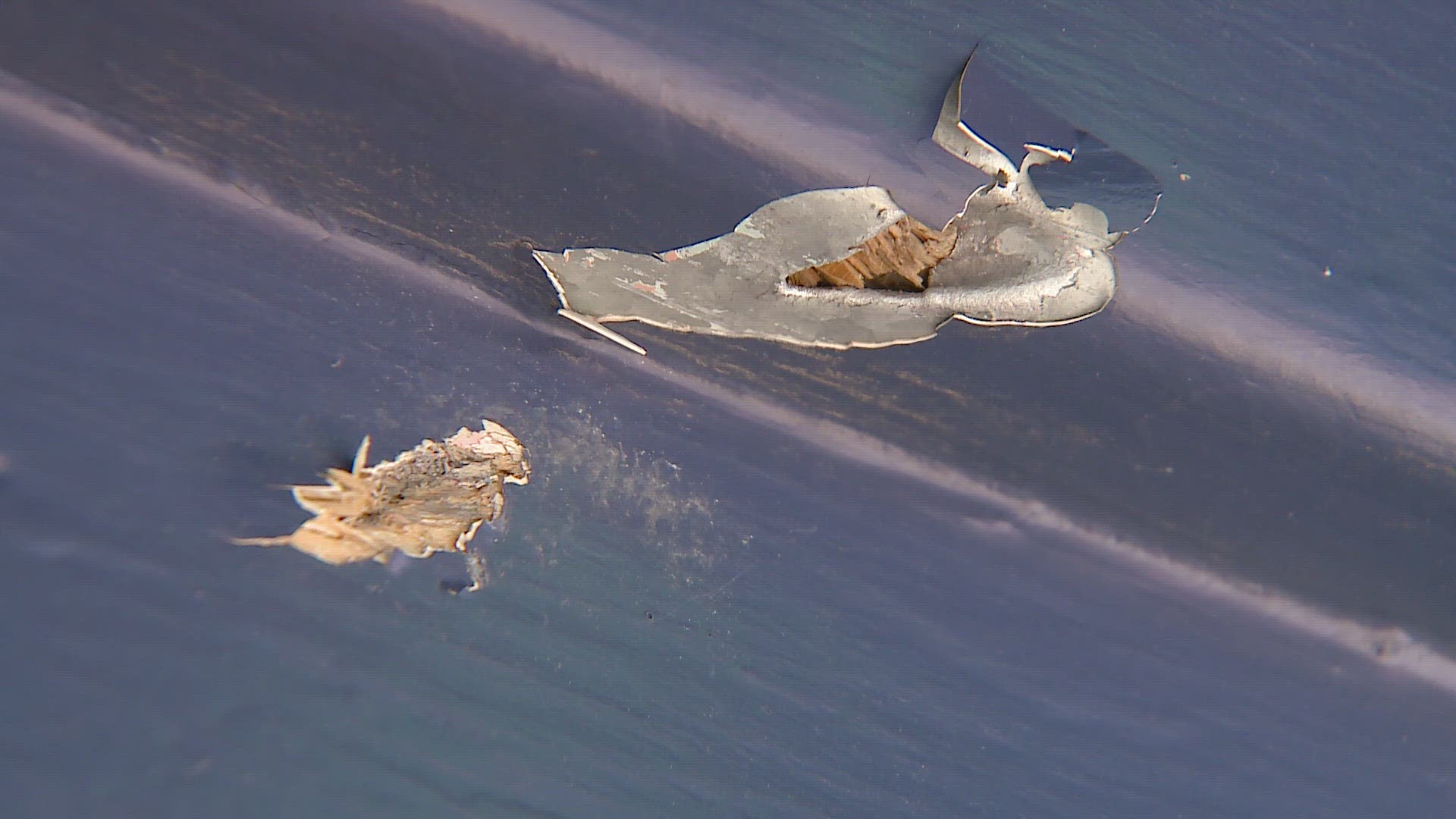 Old friends of metro area shooter say they were being targeted | 9news.com