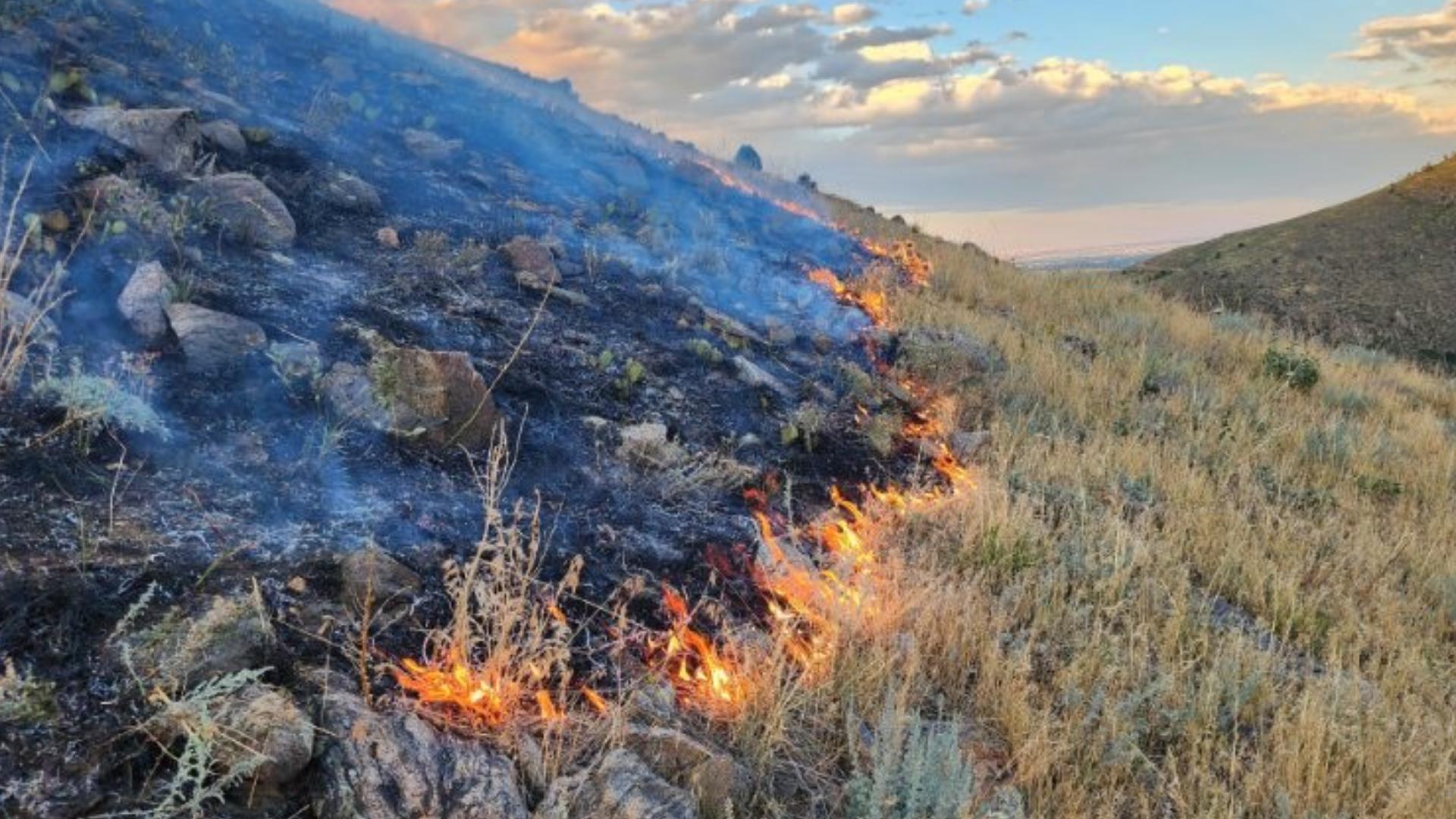 Goltra Fire: Latest updates on Colorado wildfire | 9news.com