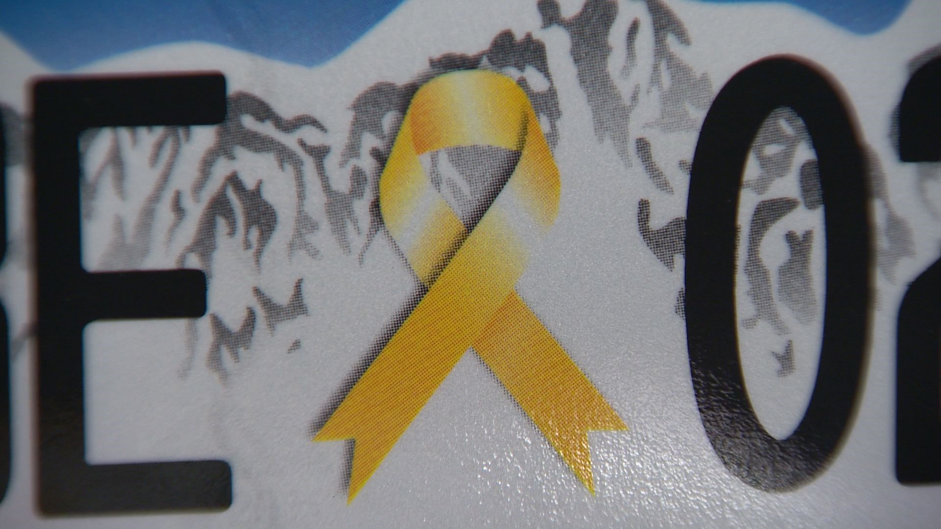 15-year-old tumor survivor creates license plate to bring awareness to ...