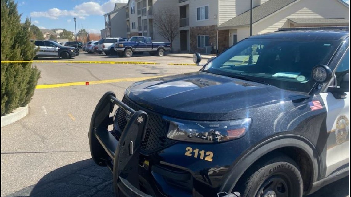 Police: Woman shot while allegedly stealing from cars | 9news.com