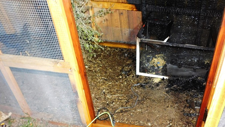 Numerous chicken coop fires in northern Colorado | 9news.com