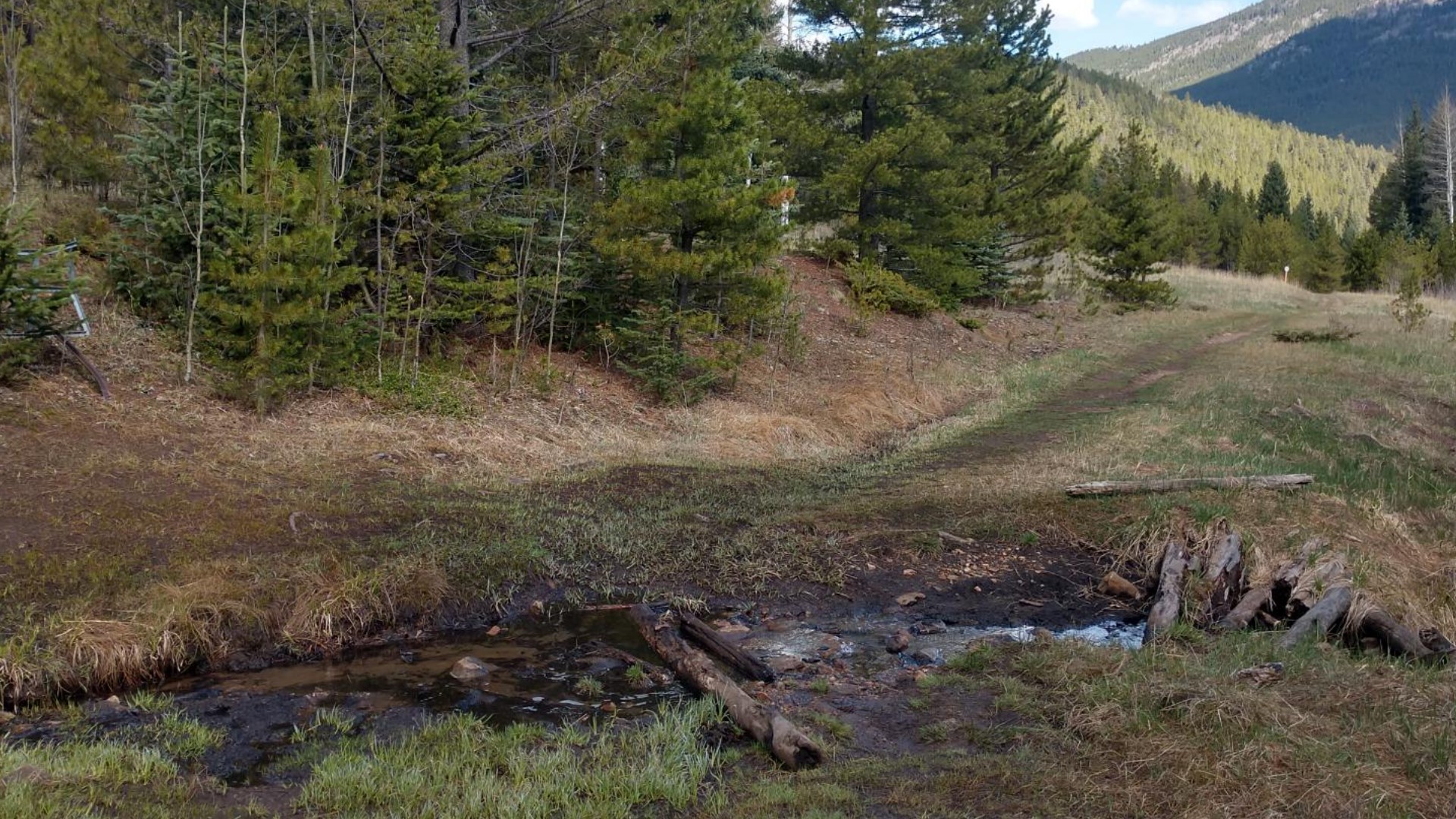 Colorado trails guide: Beaver Brook Watershed Trail | 9news.com