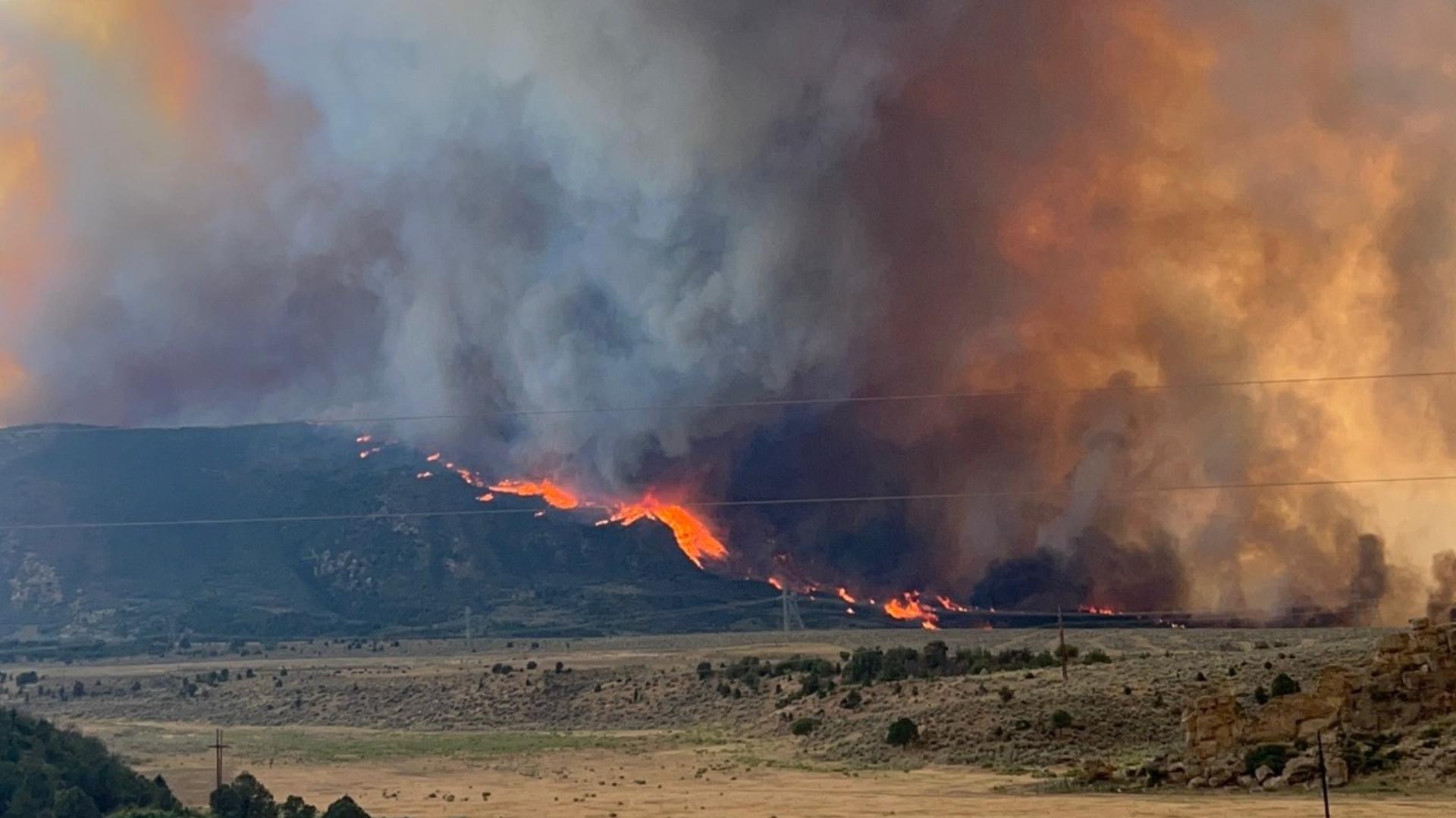 Mozzarella cheese magnate Jim Leprino dies at 87 | 9news.com