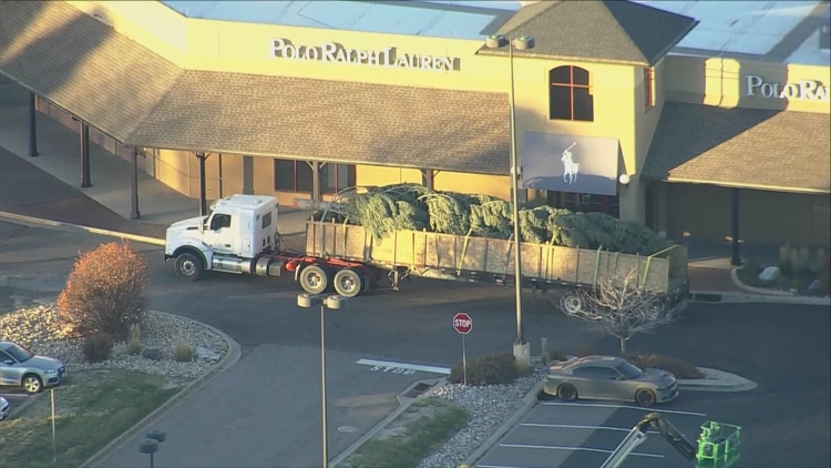 Outlets at Castle Rock holding Christmas tree lighting ceremony | 9news.com